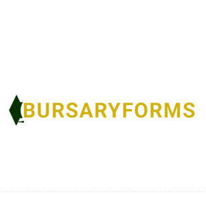 NSFAS Bursary vs NSFAS Loan – Which One Should You Choose?
